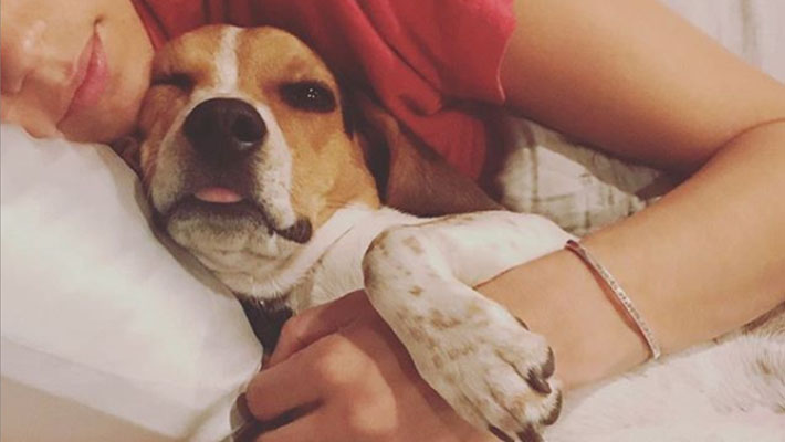 Adorable Pictures of Country Singers and Their Pets Guaranteed to Make ...